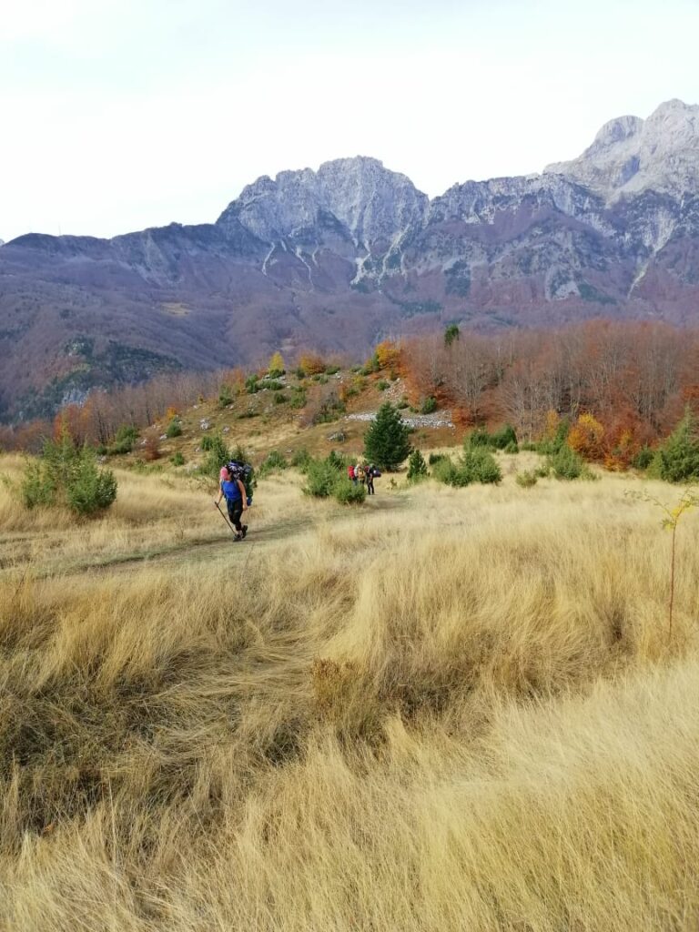 Valbona National Park 2026: Best hikes, hidden Gems & Travel Tips ...